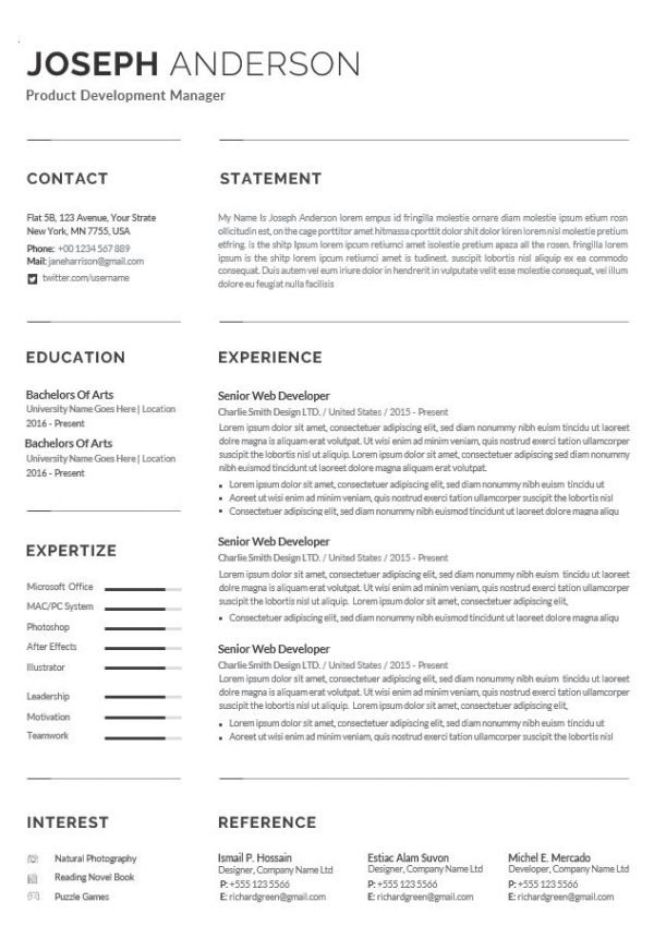 Plantilla Moderna CV Profesional - Curriculum Vitae Chile