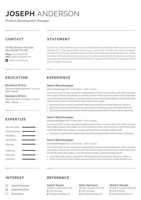 Plantilla Moderna CV Profesional - Curriculum Vitae Chile