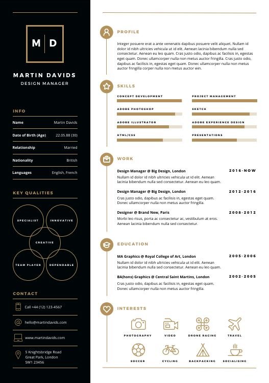 CV Profesional Full - Curriculum Vitae Chile